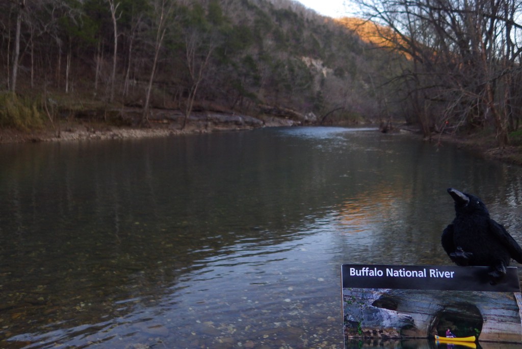 Buffalo National River | Raven About The Parks
