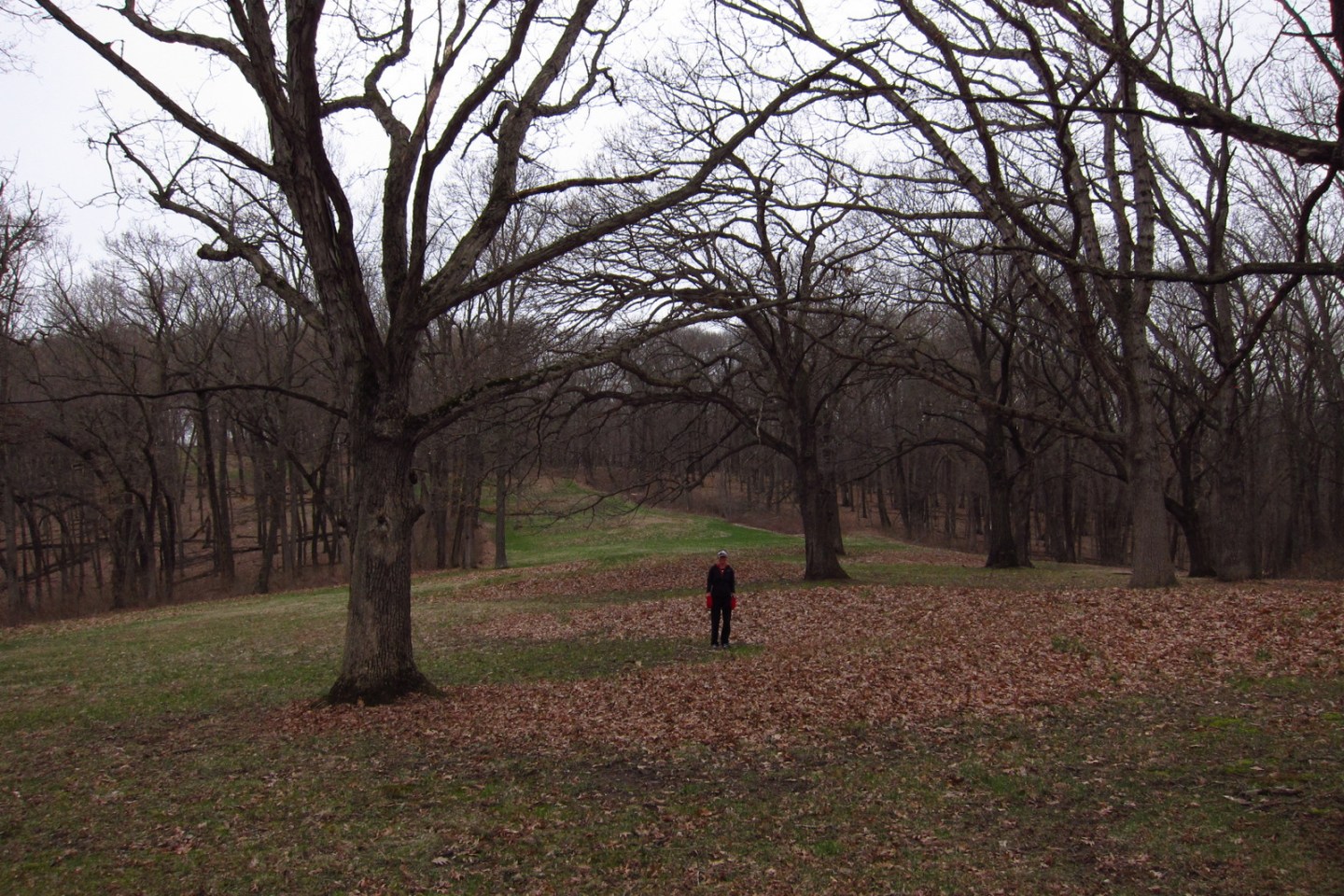 Effigy Mounds National Monument | Raven About The Parks