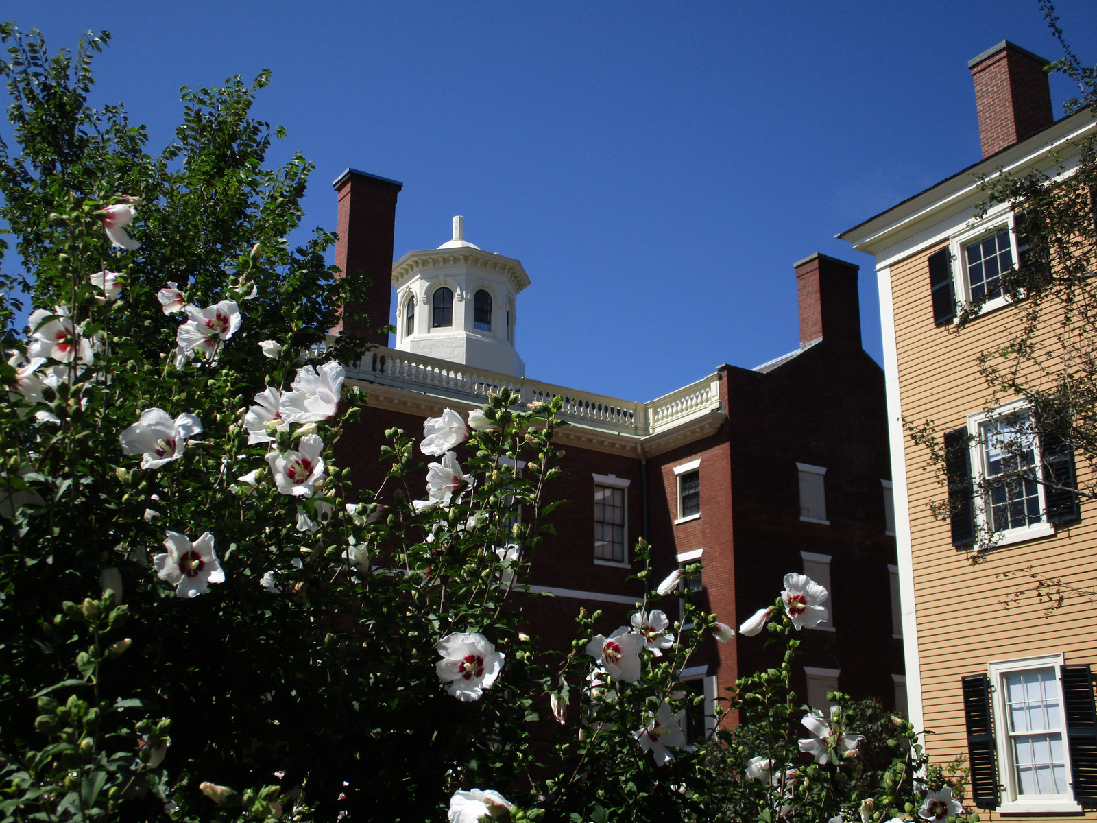 Salem Maritime National Historic Site | Raven About The Parks | Raven ...