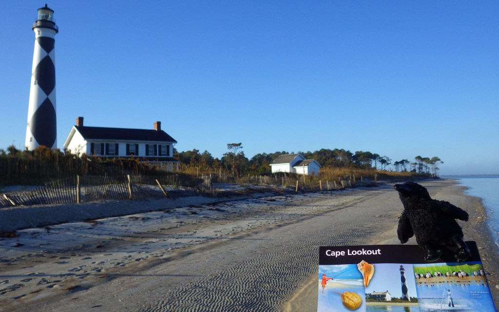 Cape Lookout National Seashore | Raven About The Parks
