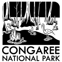 Congaree National Park | Raven About The Parks