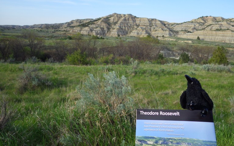 Theodore Roosevelt National Park | Raven About The Parks