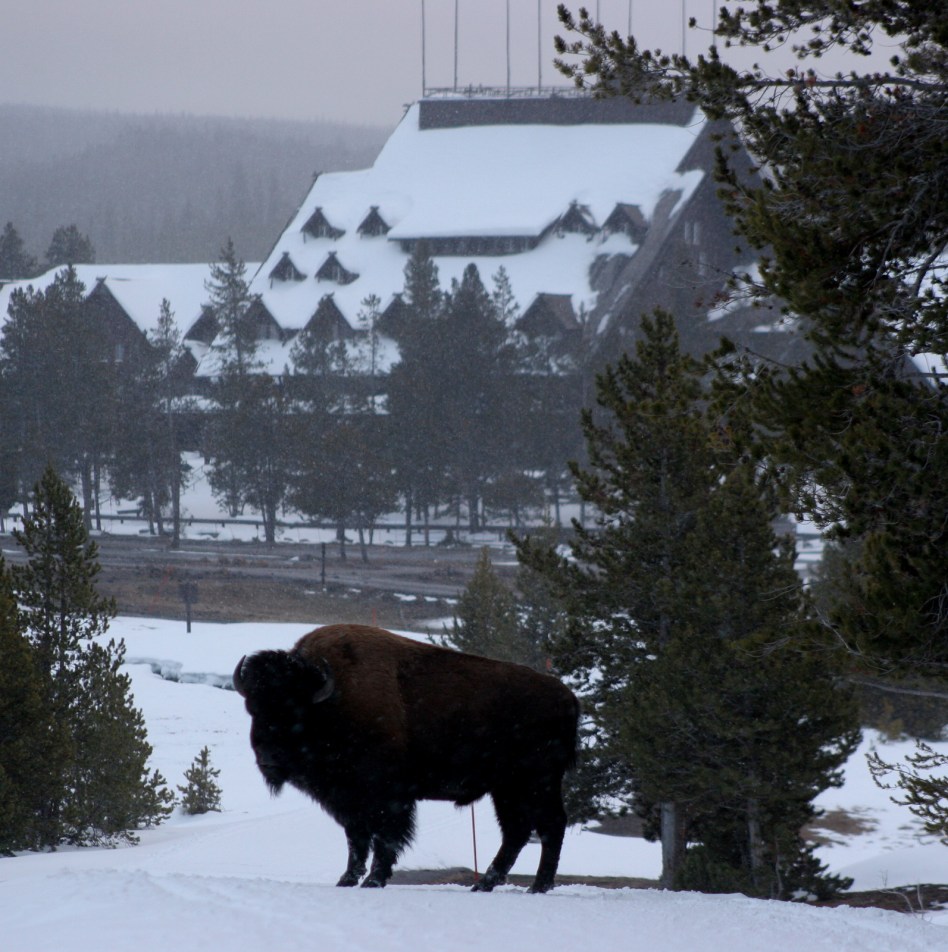 Top 10 of the 63 National Parks for Multiple Return Visits | Raven ...