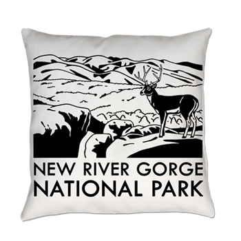 New River Gorge National Park and Preserve | Raven About The Parks