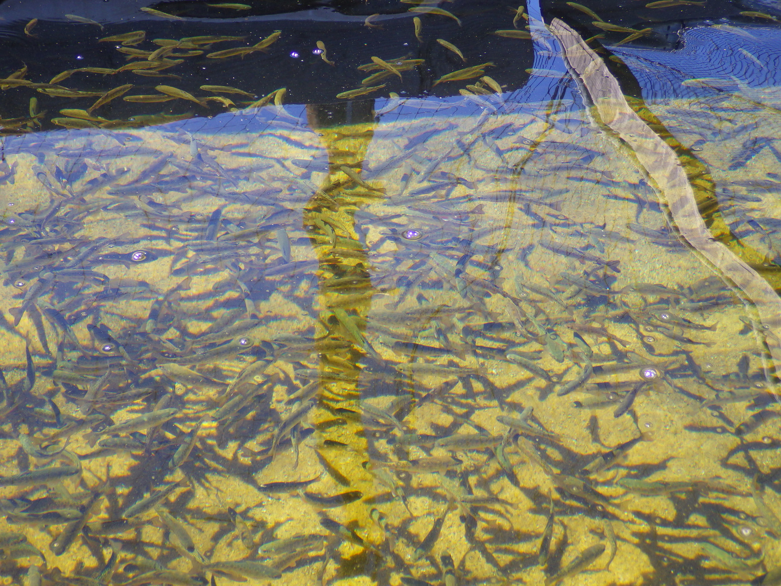 Manhattan Project National Historical Park | Raven About The Parks