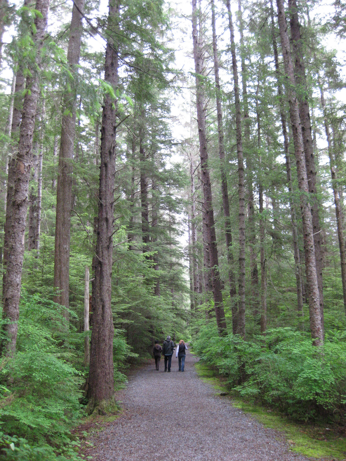 Sitka National Historical Park | Raven About The Parks