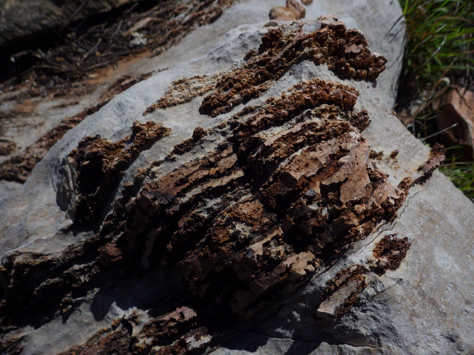 Alibates Flint Quarries National Monument | Raven About The Parks