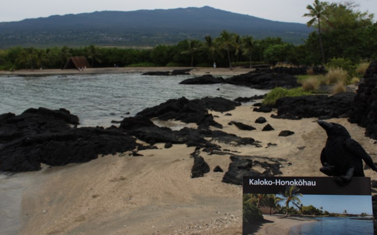 Kaloko-Honokōhau National Historical Park | Raven About The Parks