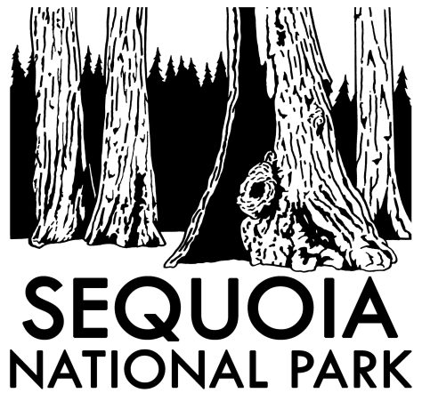 Sequoia National Park | Raven About The Parks
