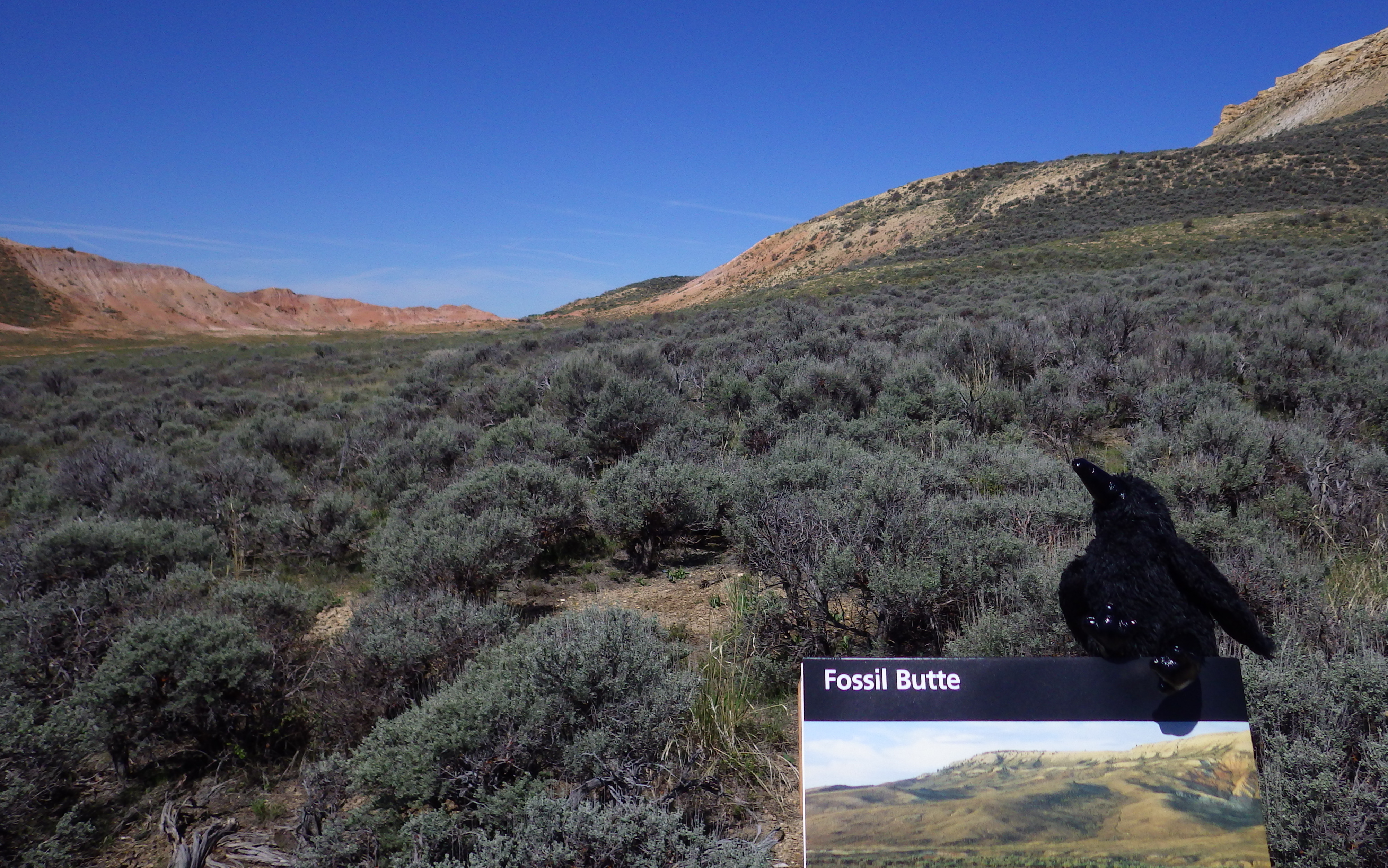 Fossil Butte National Monument | Raven About The Parks