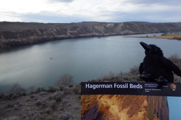 Hagerman Fossil Beds National Monument | Raven About The Parks | Raven ...