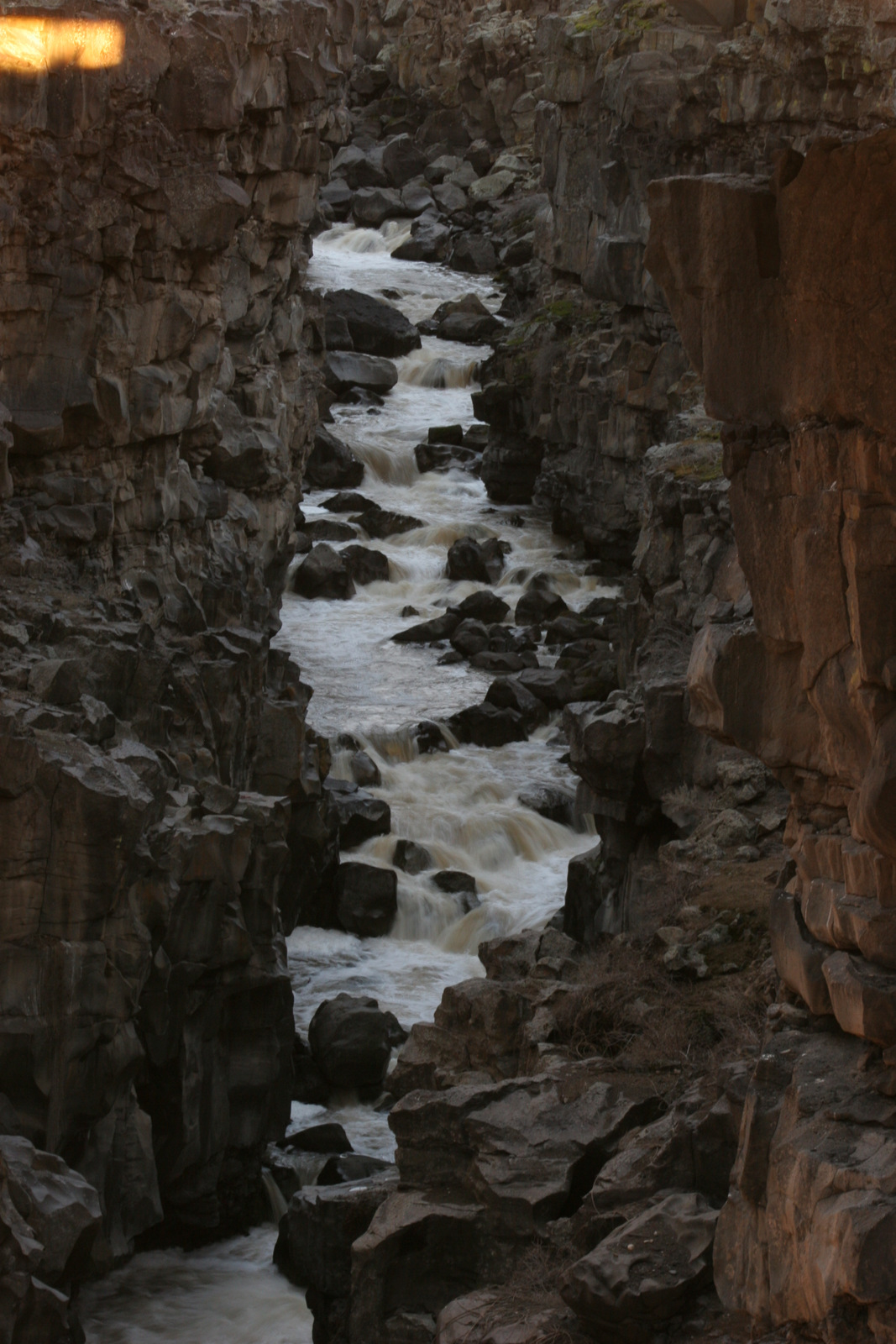Hagerman Fossil Beds National Monument | Raven About The Parks | Raven ...
