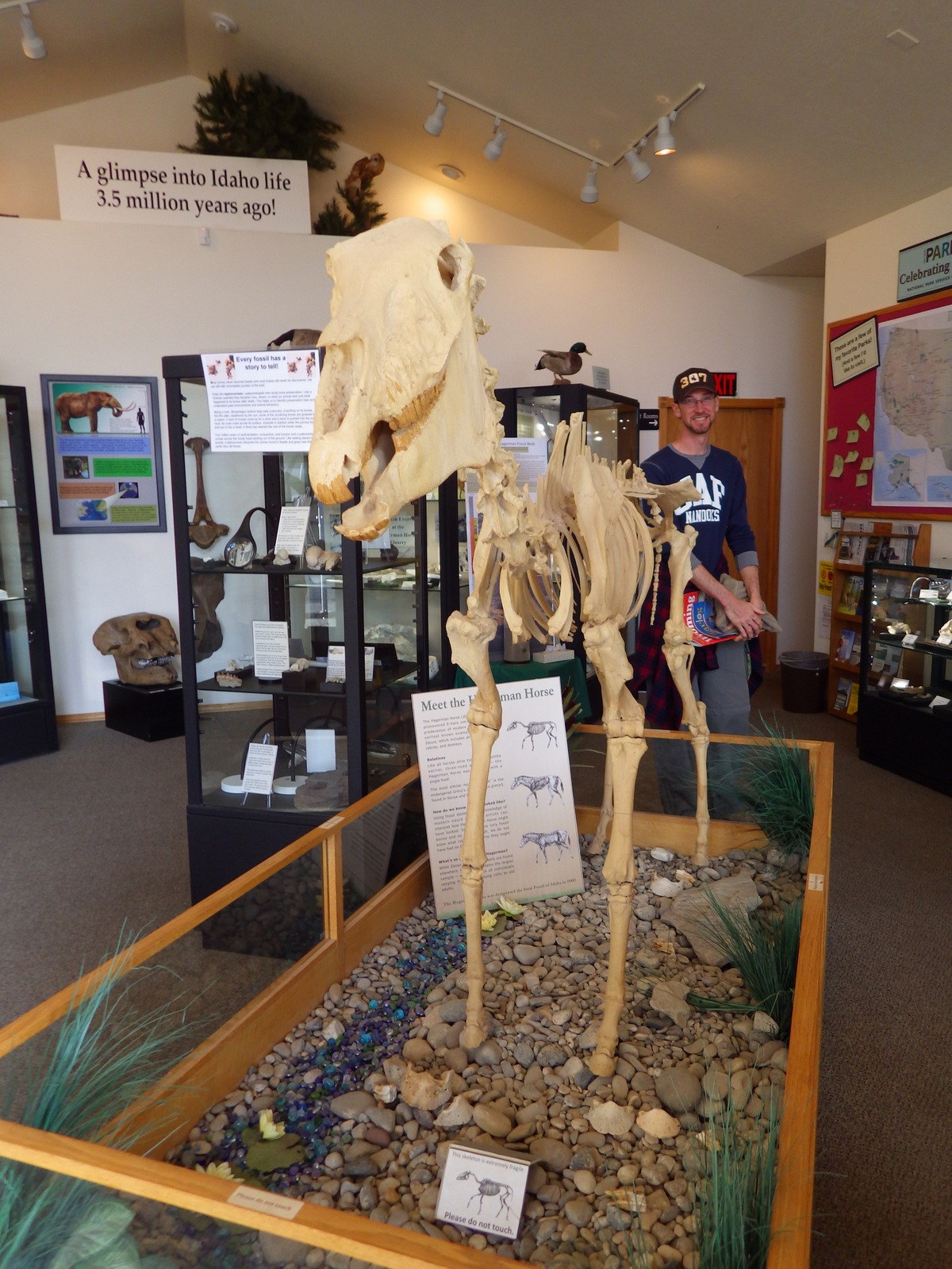 Hagerman Fossil Beds National Monument | Raven About The Parks | Raven ...
