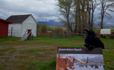 Grant-Kohrs Ranch National Historic Site | Raven About The Parks