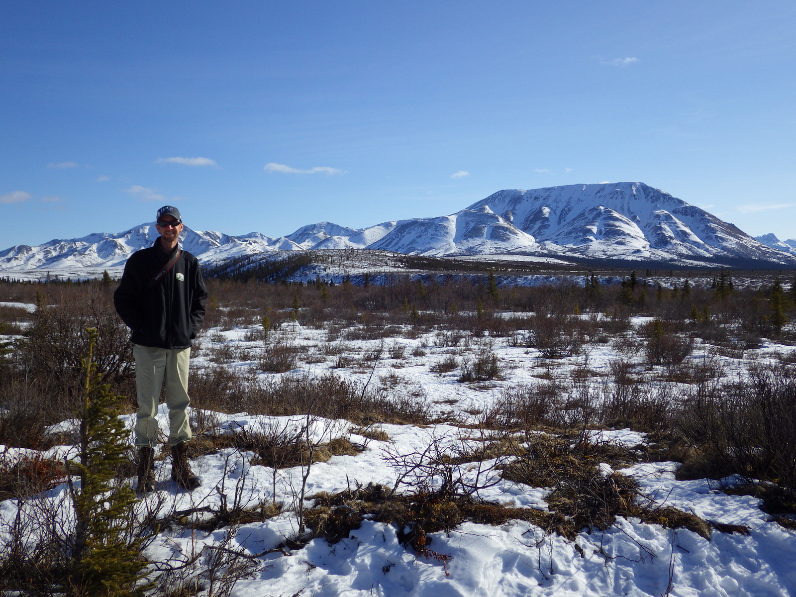 Denali National Park and Preserve | Raven About The Parks | Raven About ...