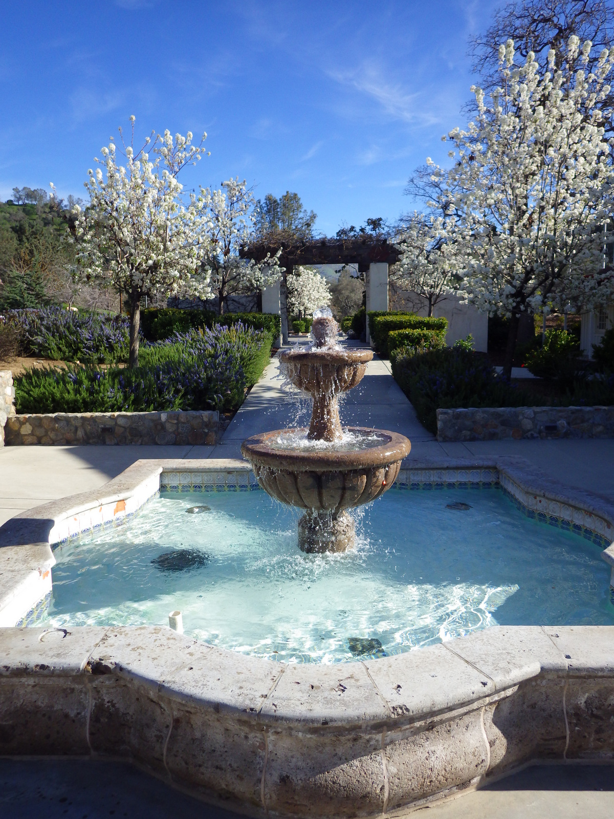 César E. Chávez National Monument | Raven About The Parks