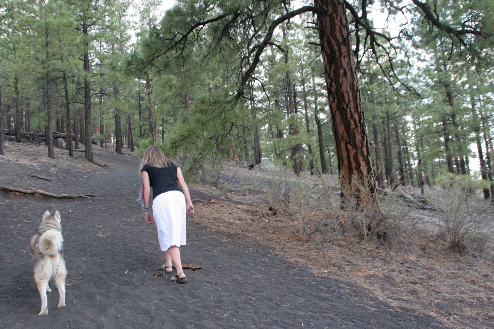 Sunset Crater Volcano National Monument | Raven About The Parks