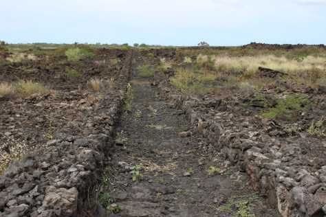 Kaloko-Honokōhau National Historical Park | Raven About The Parks