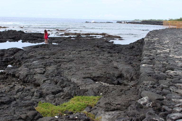Kaloko-Honokōhau National Historical Park | Raven About The Parks