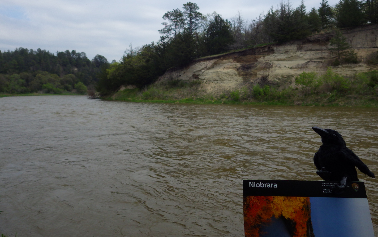Niobrara National Scenic River | Raven About The Parks