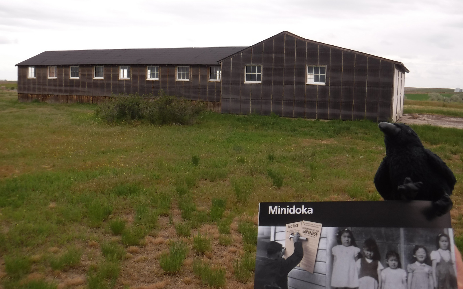 Minidoka National Historic Site | Raven About The Parks