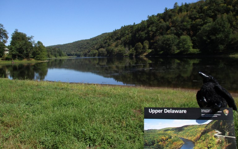 Upper Delaware Scenic and Recreational River | Raven About The Parks