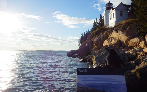 Acadia National Park | Raven About The Parks