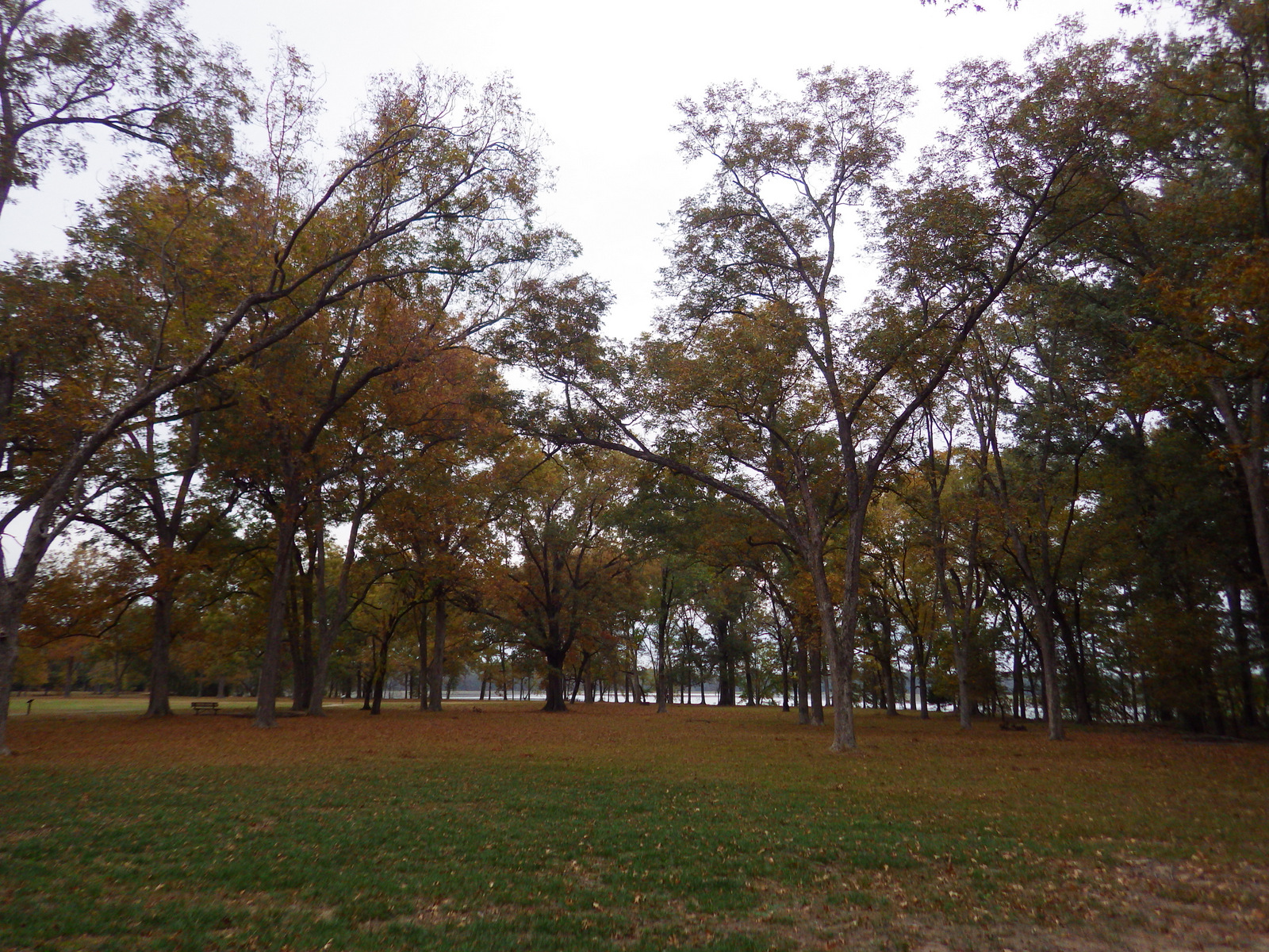 Arkansas Post National Memorial | Raven About The Parks