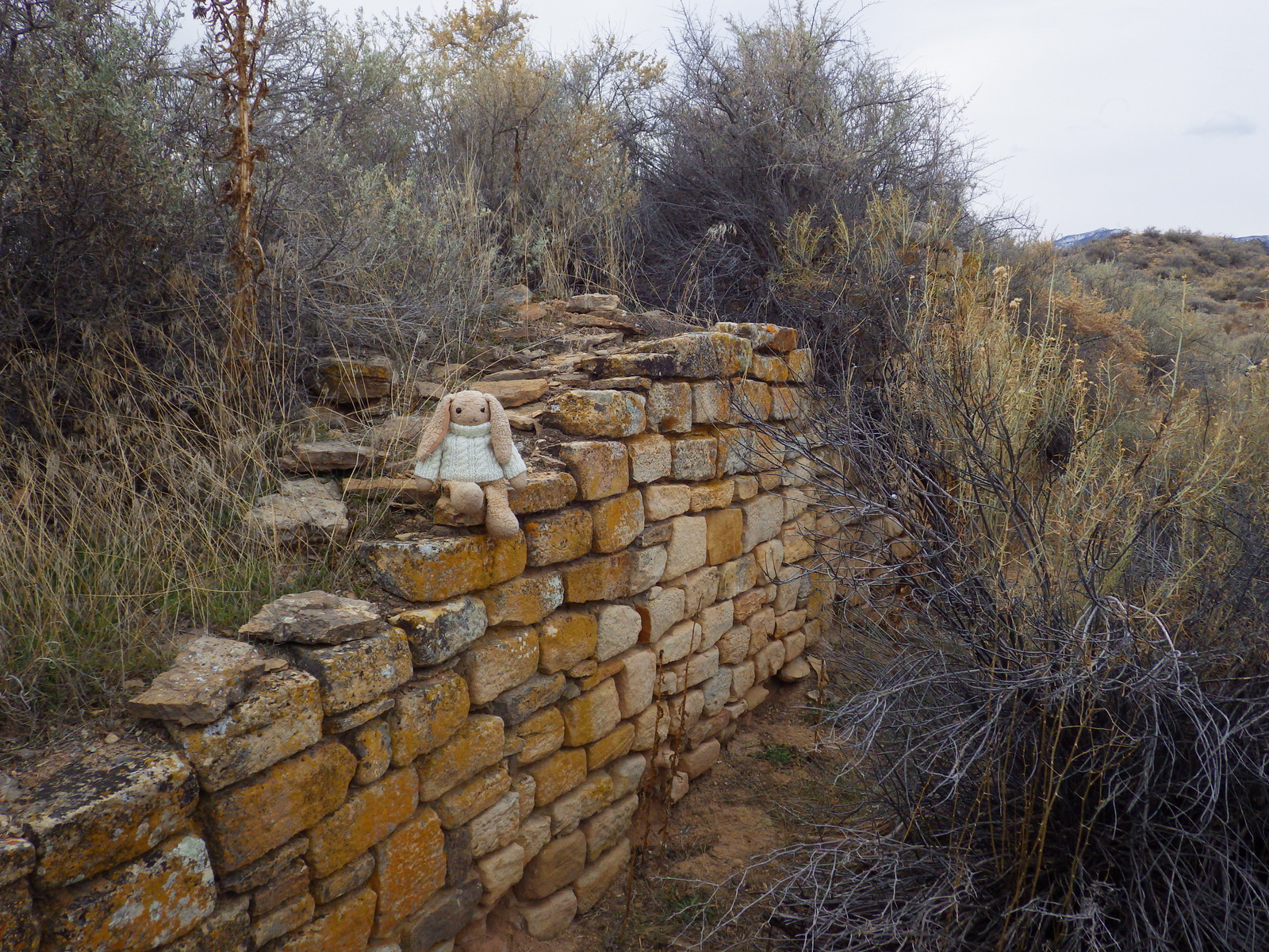 Yucca House National Monument | Raven About The Parks
