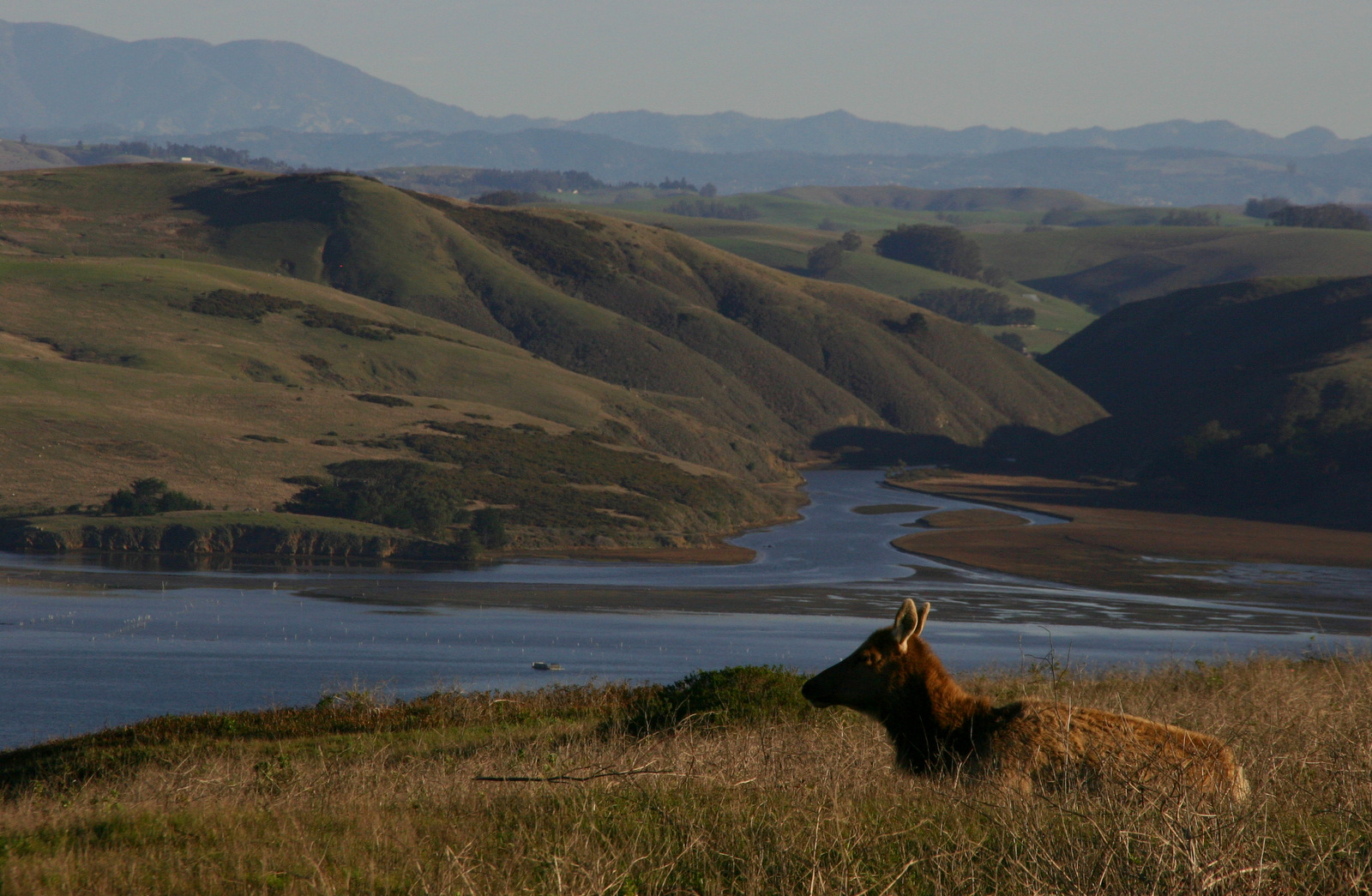 Point Reyes National Seashore | Raven About The Parks