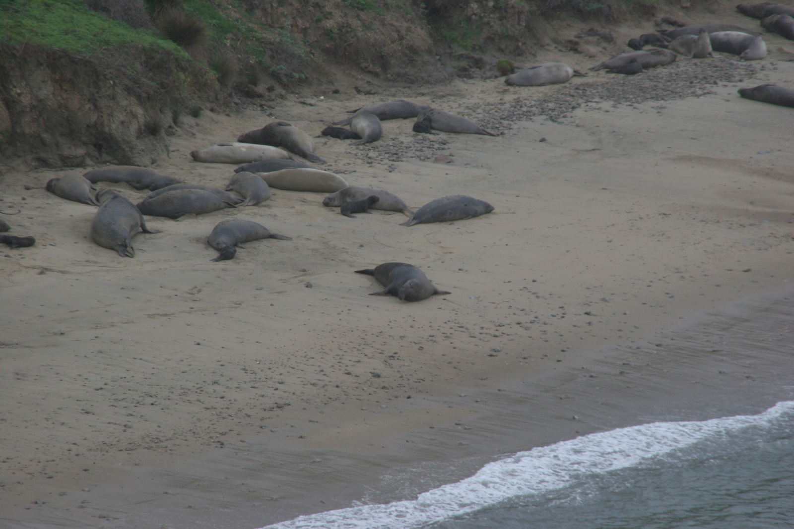 Point Reyes National Seashore | Raven About The Parks