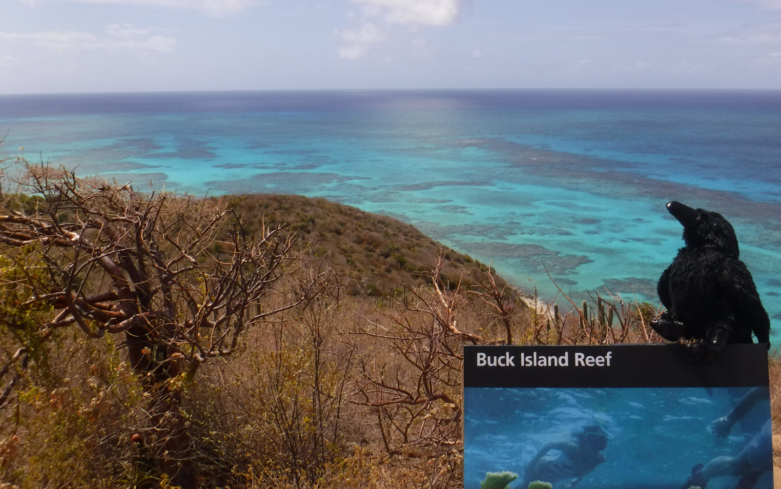 Buck Island Reef National Monument | Raven About The Parks
