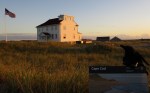 Cape Cod National Seashore | Raven About The Parks