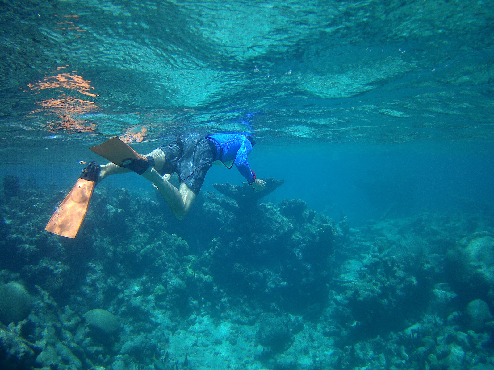 Buck Island Reef National Monument | Raven About The Parks
