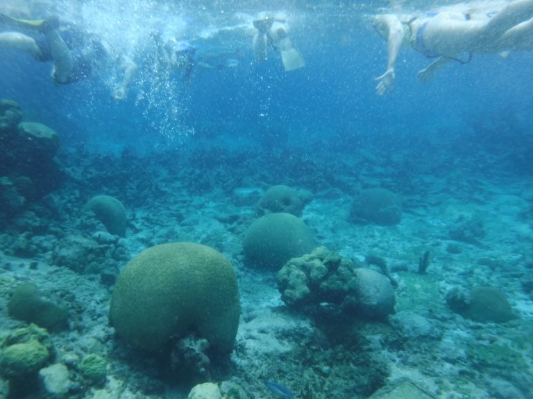 Buck Island Reef National Monument | Raven About The Parks