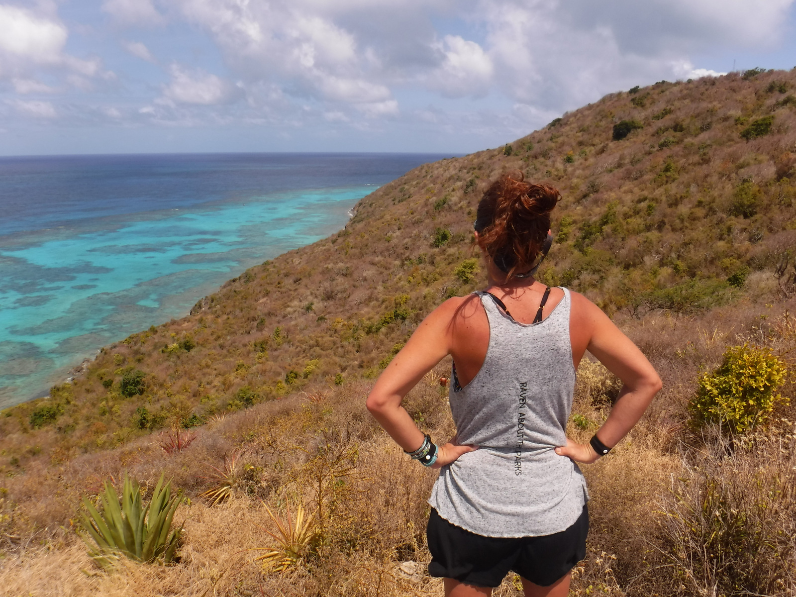 Buck Island Reef National Monument | Raven About The Parks | Raven ...