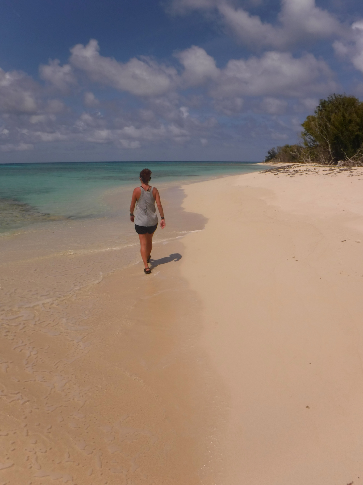 Buck Island Reef National Monument | Raven About The Parks | Raven ...