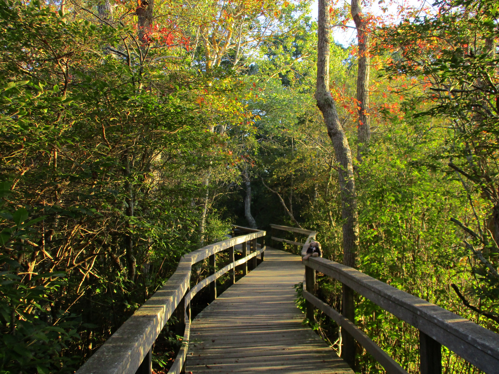 Cape Cod National Seashore | Raven About The Parks