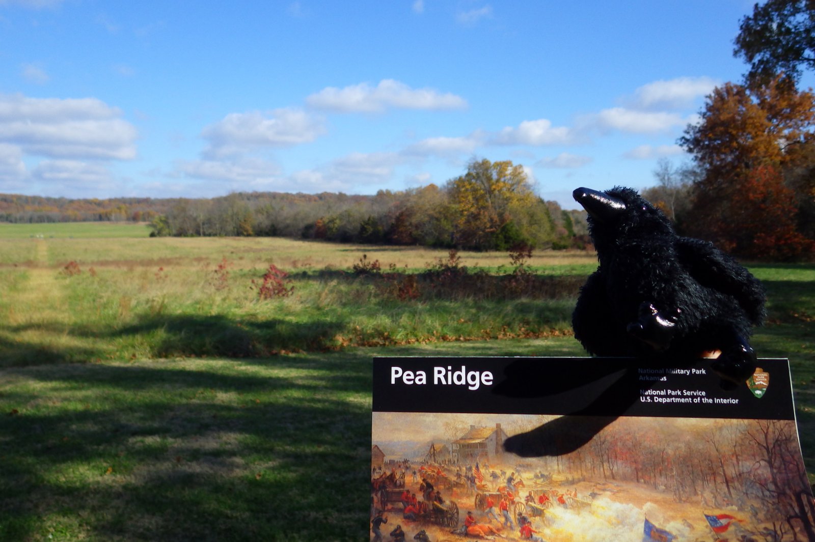 Pea Ridge National Military Park | Raven About The Parks
