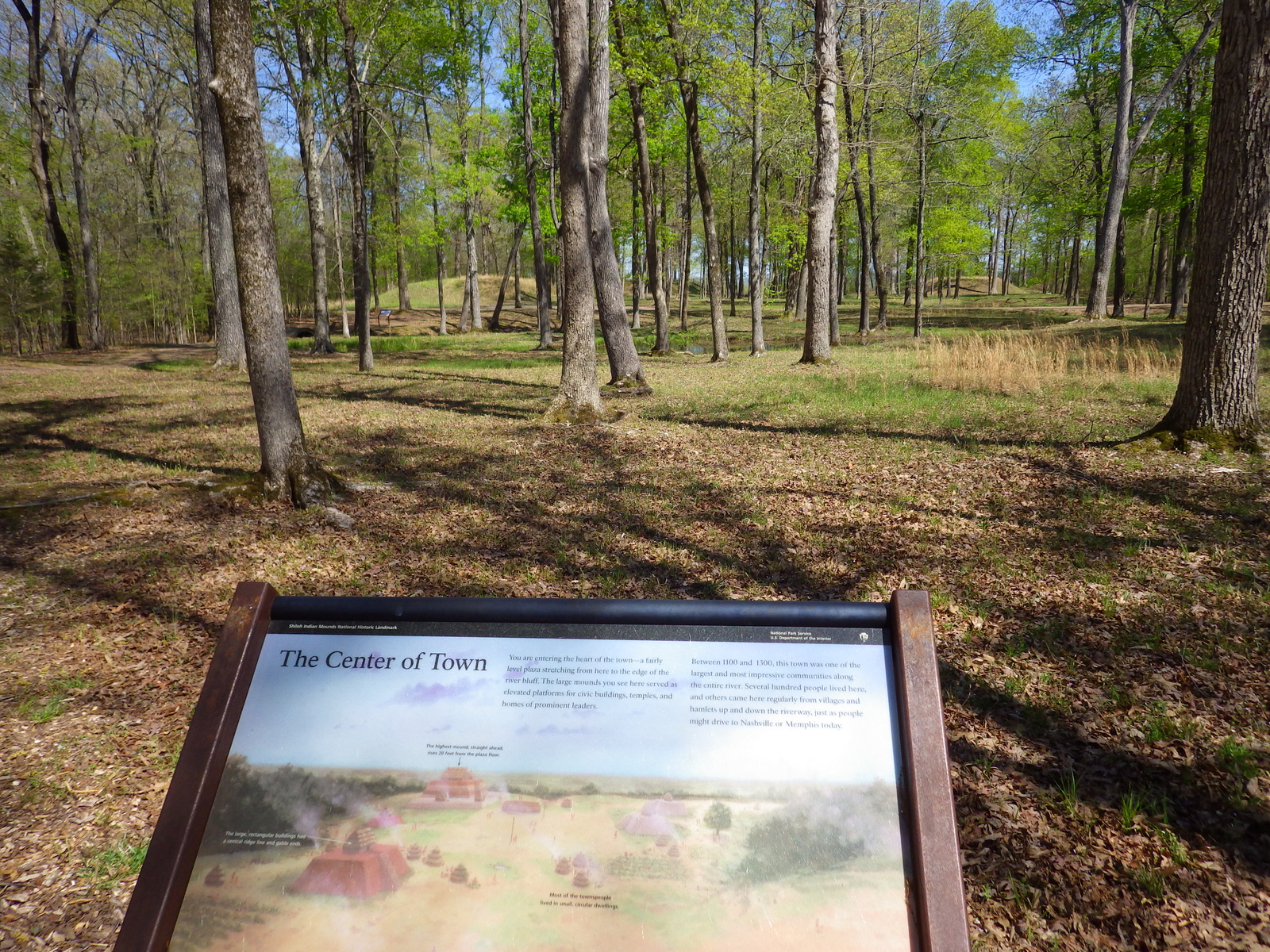 Shiloh National Military Park | Raven About The Parks | Raven About The ...