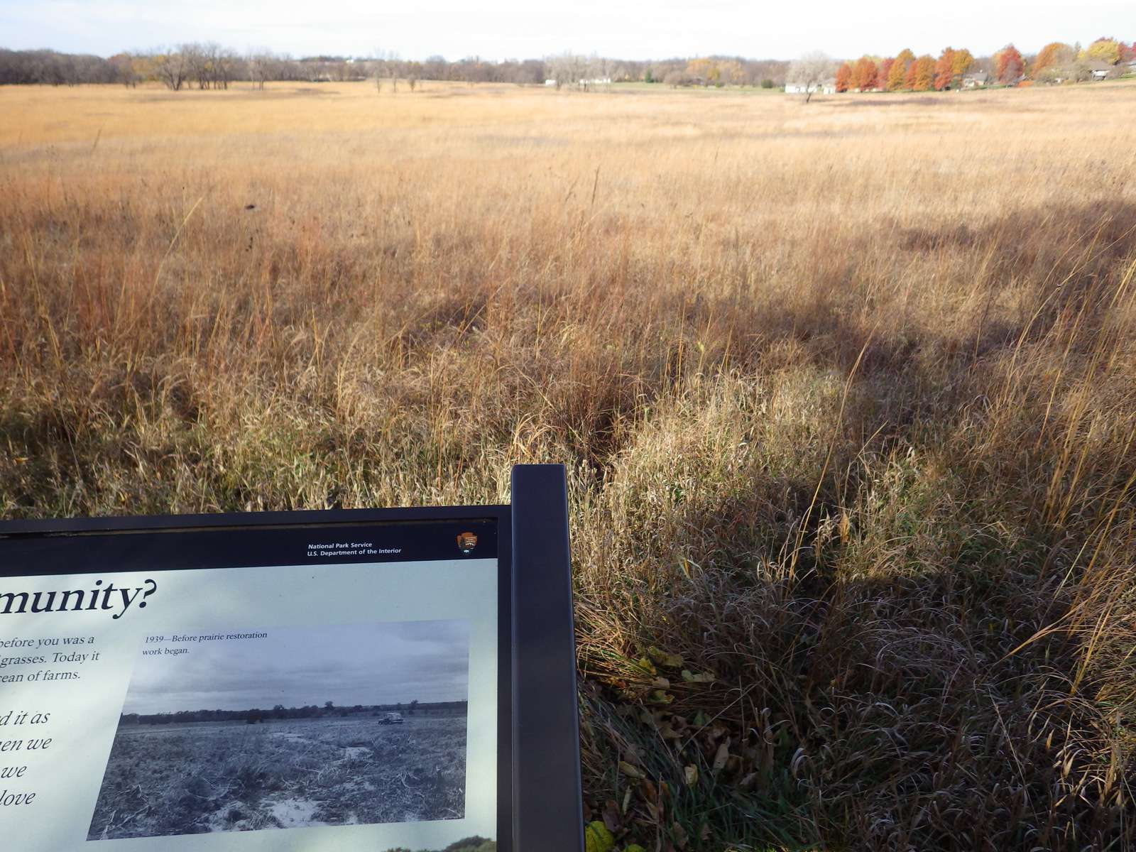 Homestead National Historical Park | Raven About The Parks | Raven ...