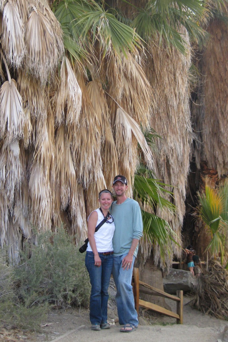 Joshua Tree National Park | Raven About The Parks
