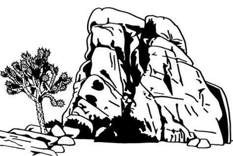 Joshua Tree National Park | Raven About The Parks | Raven About The Forests