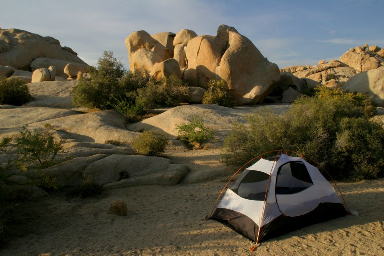 Joshua Tree National Park | Raven About The Parks | Raven About The Forests