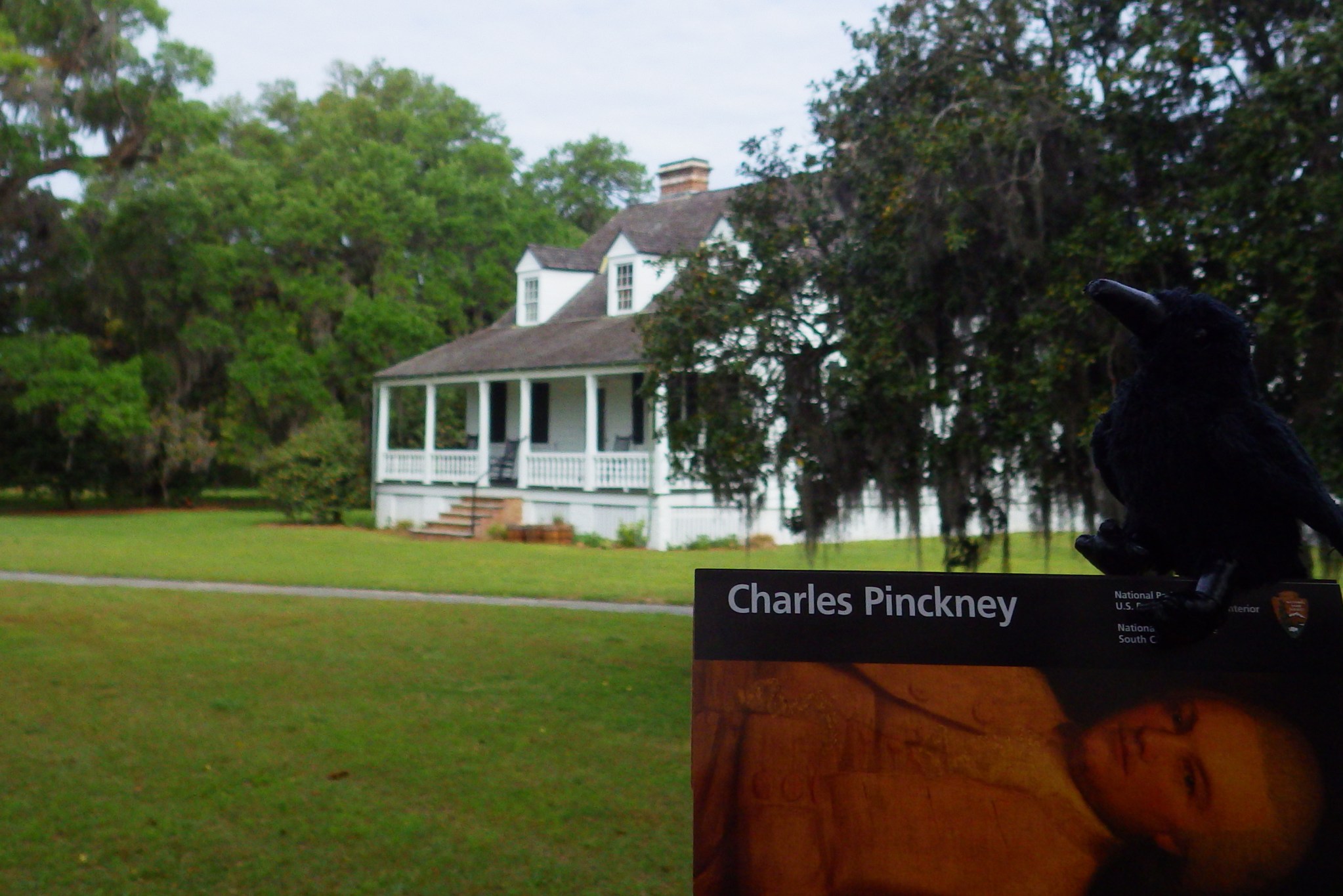 Charles Pinckney National Historic Site | Raven About The Parks