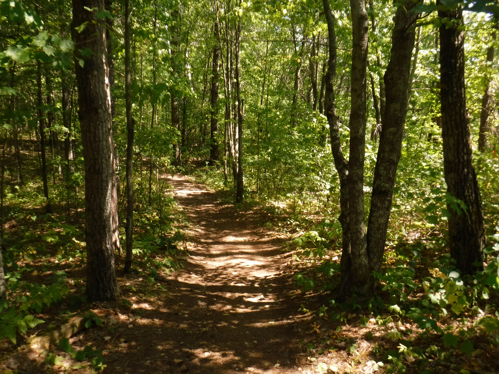 St. Croix National Scenic Riverway | Raven About The Parks | Raven ...