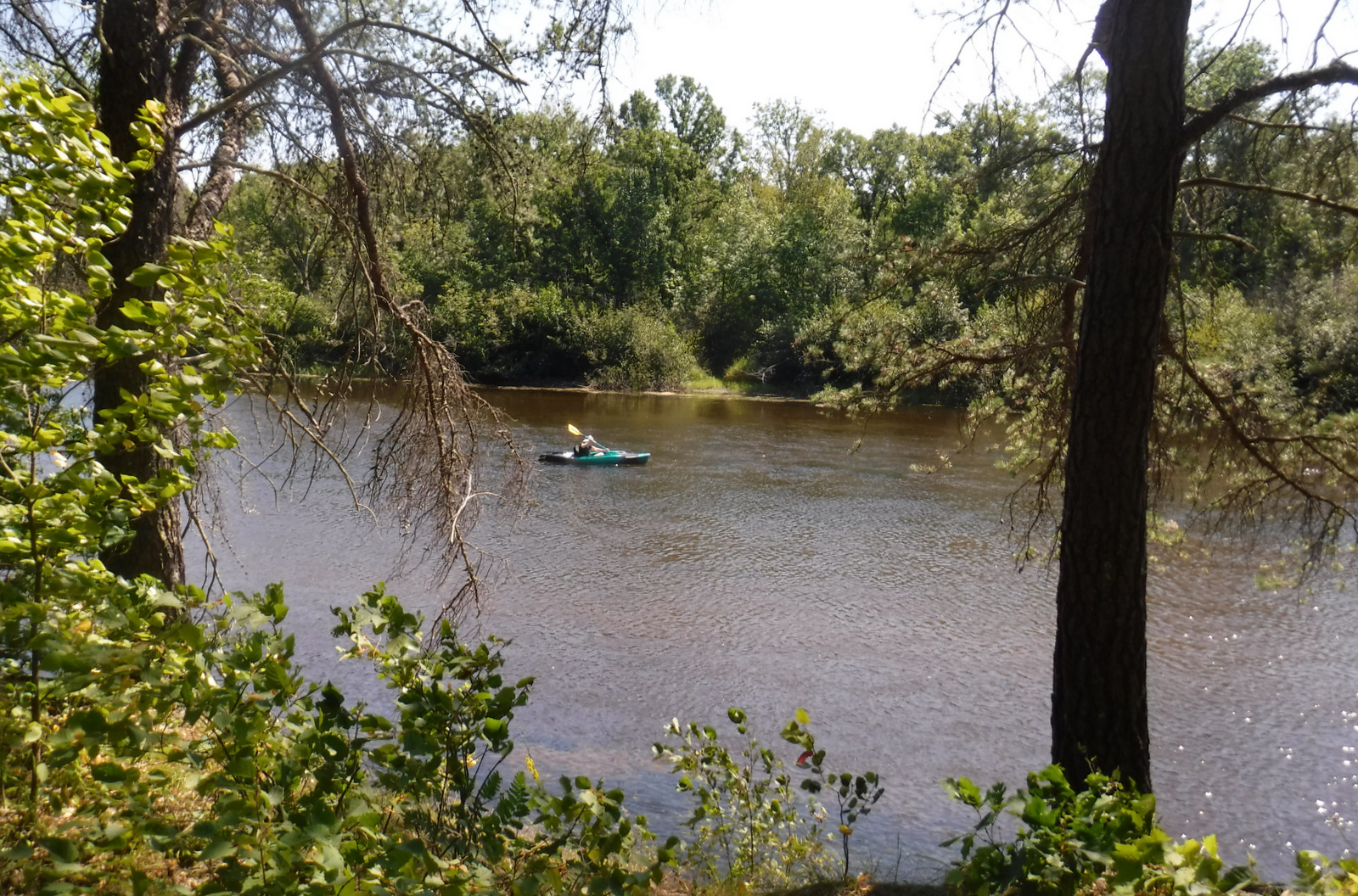 St. Croix National Scenic Riverway | Raven About The Parks | Raven ...