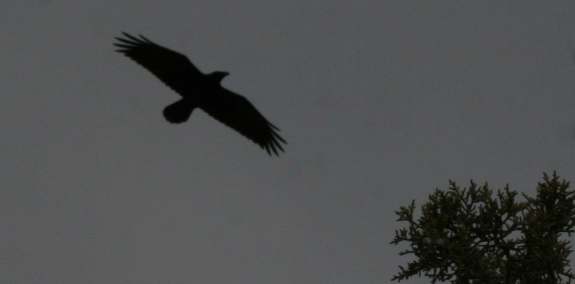 Hovenweep National Monument | Raven About The Parks