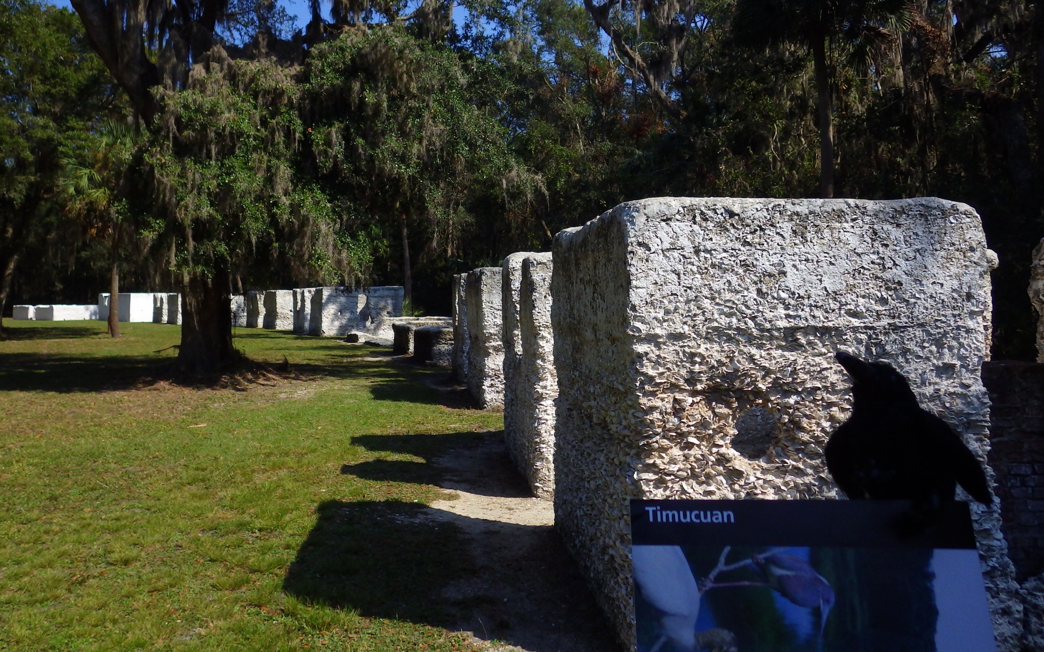 Timucuan Ecological and Historic Preserve | Raven About The Parks ...