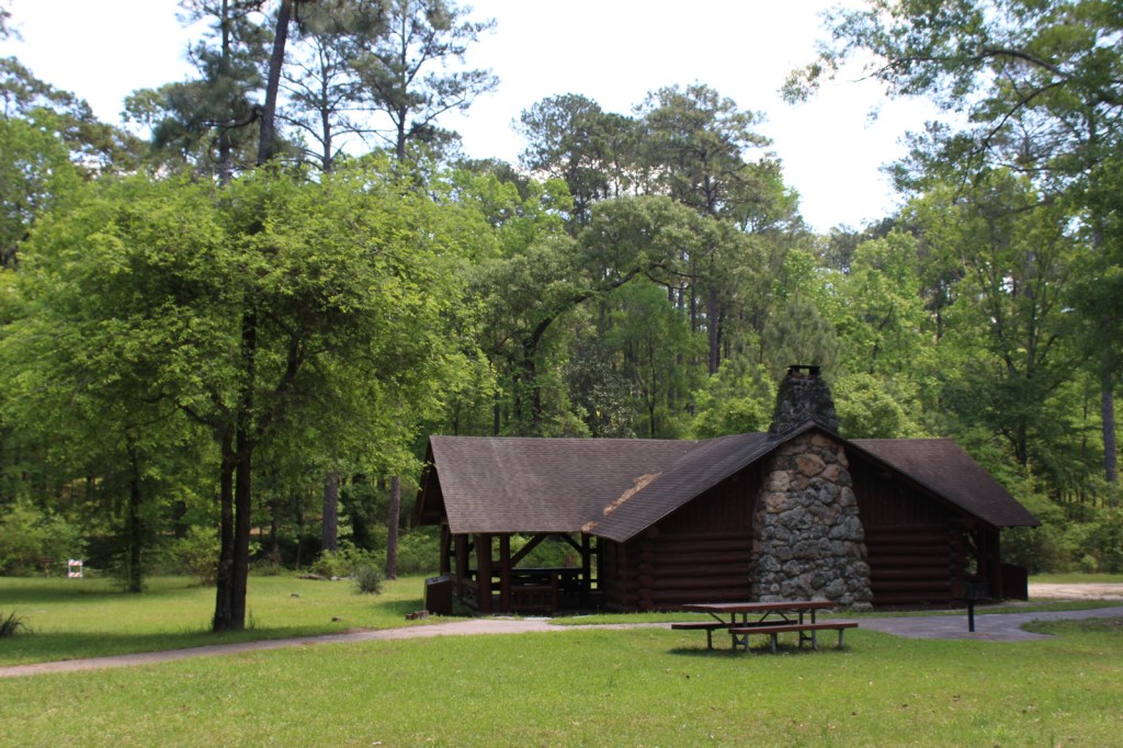 Angelina National Forest | Raven About The Parks